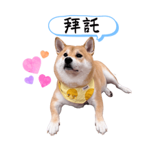 Lala_20251015130559 – Stickers LINE | LINE STORE