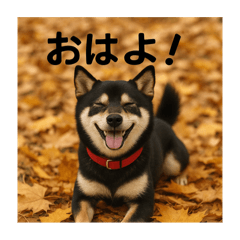 Black Shiba: Autumn Days – Stickers LINE | LINE STORE