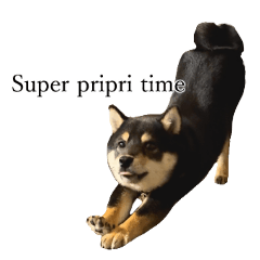 pocomaru dog – LINE stickers | LINE STORE