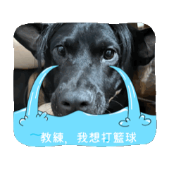 Penny Chang_20251020123354 – LINE stickers | LINE STORE