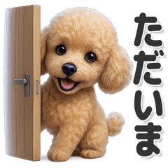Cute Poodle You Can Use Every Day! – LINE stickers | LINE STORE