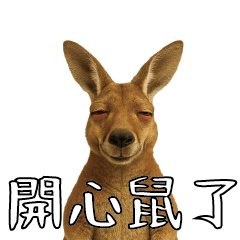 Giggly Kangaroo 01 – Stickers LINE | LINE STORE