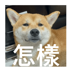 yunhui_20251024205248 - LINE スタンプ | LINE STORE