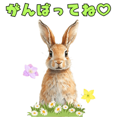 Cute Animal LINE Stickers1023003 - Stiker LINE | LINE STORE