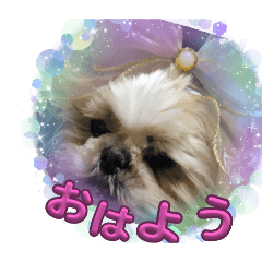 sato.13_20251120093932 – สติกเกอร์ LINE | LINE STORE