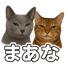 toto&ray_20251122092032 – LINE stickers | LINE STORE