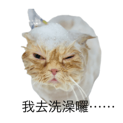 MeowMiu_20251125172937 - Stiker LINE | LINE STORE