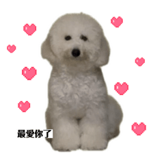 Lumi and Oly – LINE stickers | LINE STORE