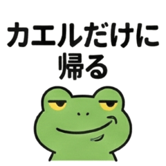 Cute Green Frog: Daily Life & Slang – LINE stickers | LINE STORE