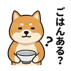 Expressive Shiba Inu: Daily Life – LINE stickers | LINE STORE