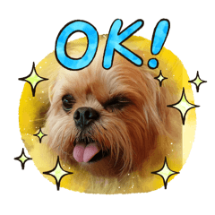 huck_20251218153440 – LINE stickers | LINE STORE