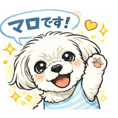 Gio_20251224194006 – LINE stickers | LINE STORE