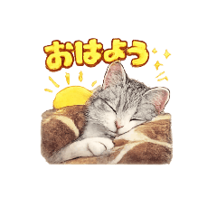 Runa everyday_20251224152748 – LINE stickers | LINE STORE
