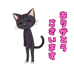 Slim Black Cat Polite Stickers – Stickers LINE | LINE STORE