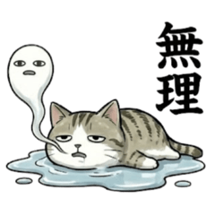 Deadpan Cat The Internet Meme – สติกเกอร์ LINE | LINE STORE