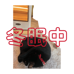 chun_20251231101619 – LINE stickers | LINE STORE