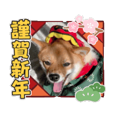 rienbo_20251231144333 – LINE stickers | LINE STORE