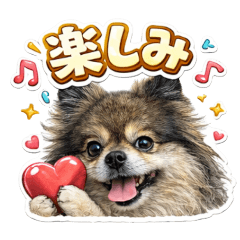 Pomeranian Tarokichi Everyday Stickers – LINE stickers | LINE STORE