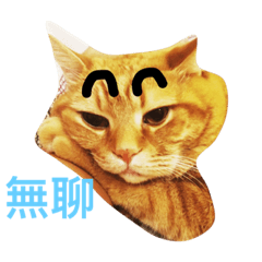 catty catty – LINE stickers | LINE STORE