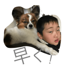 reo.reo – LINE stickers | LINE STORE
