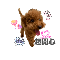 Kelly yeh_20260410200958 – สติกเกอร์ LINE | LINE STORE