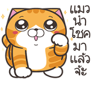 Lan Lan Cat: Sassy Cat – LINE stickers | LINE STORE