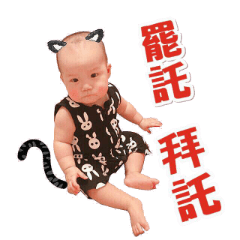 CHEL CHEL FACE – LINE stickers | LINE STORE