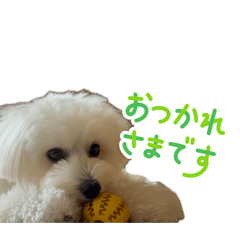 kodai._20260519235024 – Stickers LINE | LINE STORE