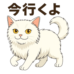 Mr.Meow Stickers e emojis do LINE | LINE STORE