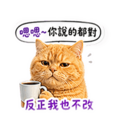 Kaiwen的LINE貼圖＆表情貼 | LINE STORE