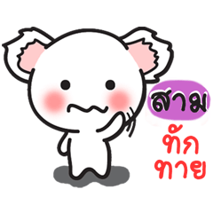 Saam : Koala Version - LINE スタンプ | LINE STORE
