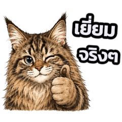 Cheer Up with Maine Coon – LINE stickers | LINE STORE