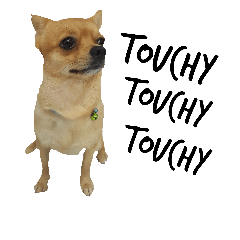 Gula – LINE貼圖 | LINE STORE