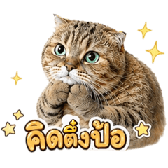 ตู๊กมะลิ หมูอ้วน V.2 – สติกเกอร์ LINE | LINE STORE