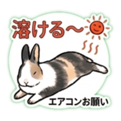 ラビ（ミニウサギ）のイラスト夏Ver. - LINE スタンプ | LINE STORE