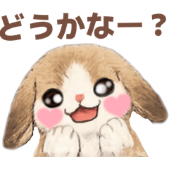 ハートチークうさぎの日常 - LINE スタンプ | LINE STORE
