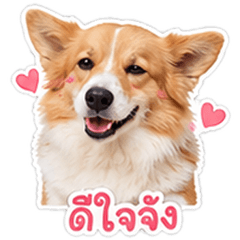 Cozy Paw LINE stickers & emoji | LINE STORE