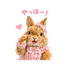 きらめっきーず - LINE スタンプ | LINE STORE