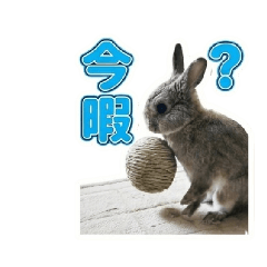 私のPeter③ - LINE スタンプ | LINE STORE