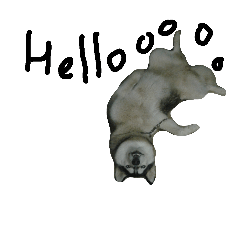 Bua_Sri - LINE スタンプ | LINE STORE