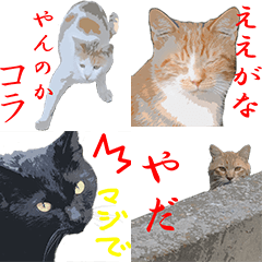 Stray cat around the shrine. – LINE貼圖 | LINE STORE