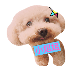 Bimo part2 – LINE stickers | LINE STORE