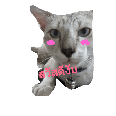 Heng heng ...2 - Stiker LINE | LINE STORE