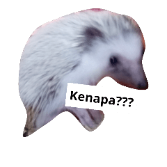 STIKER TERSERAH CREATOR - LINE スタンプ | LINE STORE