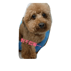 Dog life story – LINE stickers | LINE STORE