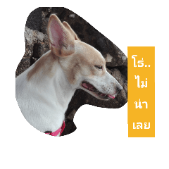 Popcorn Superdog - LINE スタンプ | LINE STORE