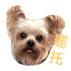 four cute dogs - Stiker LINE | LINE STORE