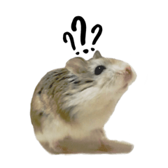 Hamster Q – LINE 스티커 | LINE STORE
