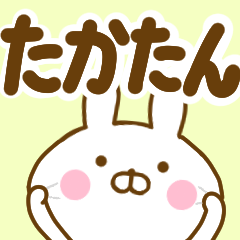 Rabbit Usahina takatan – LINE stickers | LINE STORE