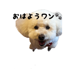 reeo.. – Stickers LINE | LINE STORE